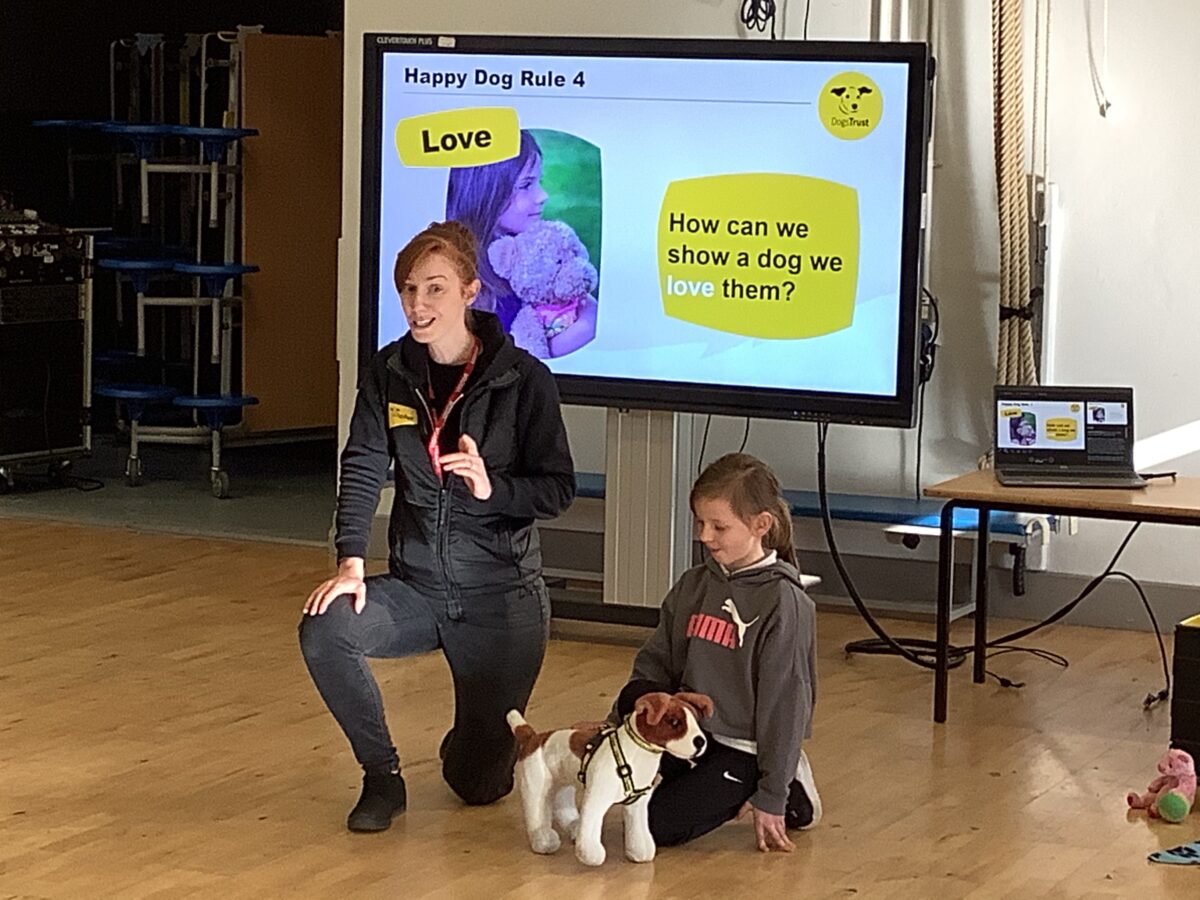 Living and Learning (Staying Safe Week) : staying safe around dogs ...